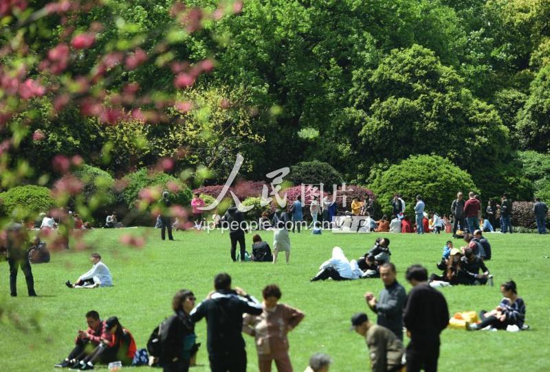 杭州西湖上万平方米大草坪开放 游人踏青游玩感受春光-人民图片网