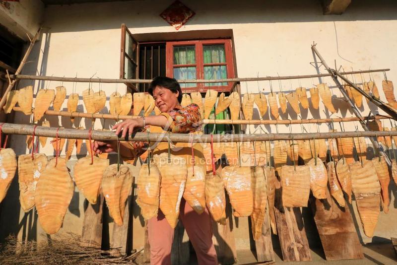 江西金溪笋干飘香助增收 人民图片网