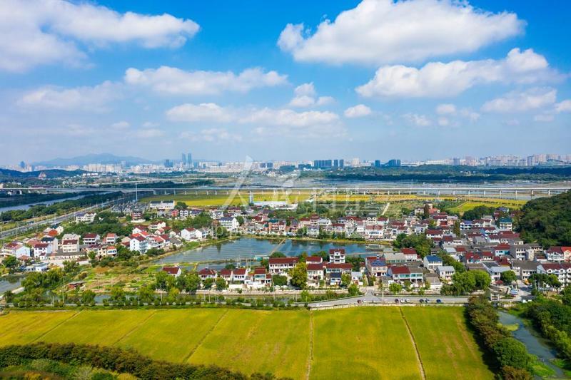 浙江湖州：金秋田园美-人民图片网