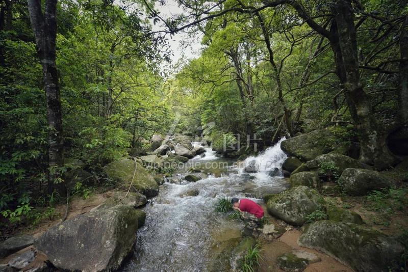 广东清远笔架山自然保护区 人民图片网