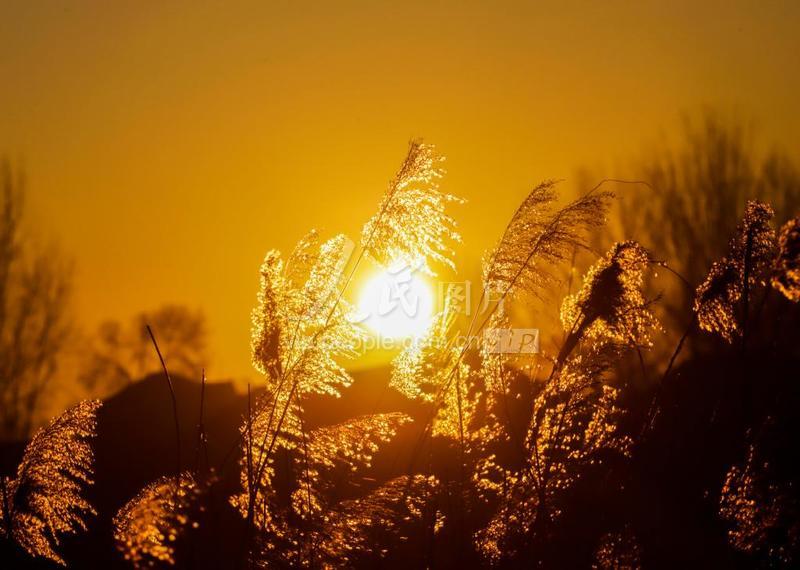 河北遵化：冬至日出-人民图片网