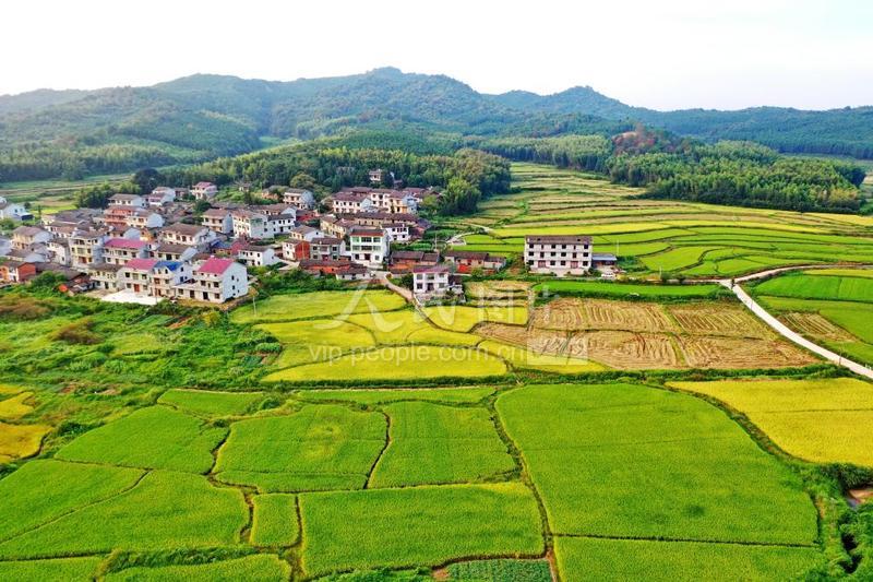 江西金溪：山村金秋美-人民图片网