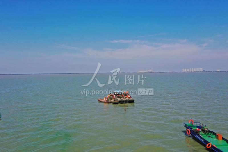 江苏常州举办首届滆湖赶湖节-人民图片网