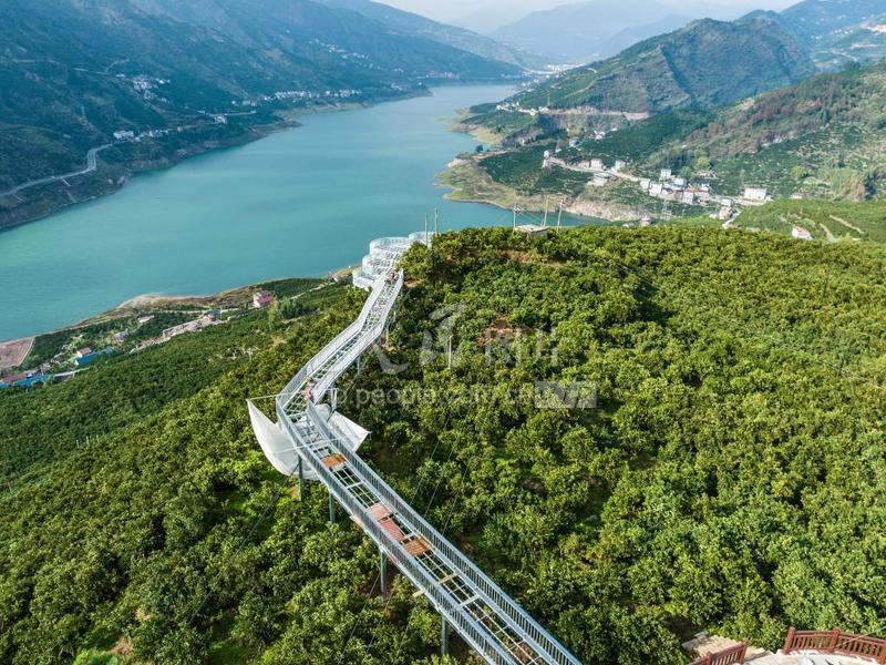 湖北秭归：脐橙园里观光廊道建设忙-人民图片网