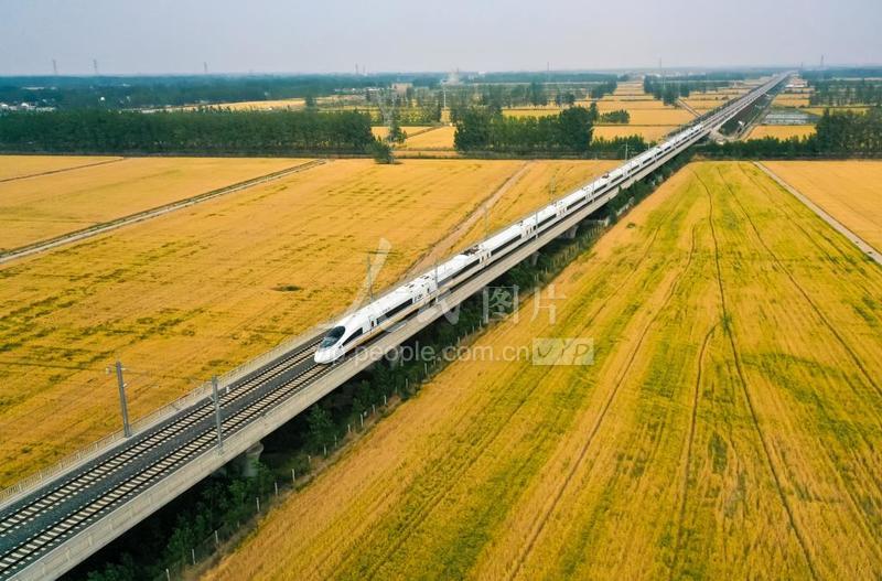 江苏宿迁：金色大地 银龙飞驰-人民图片网