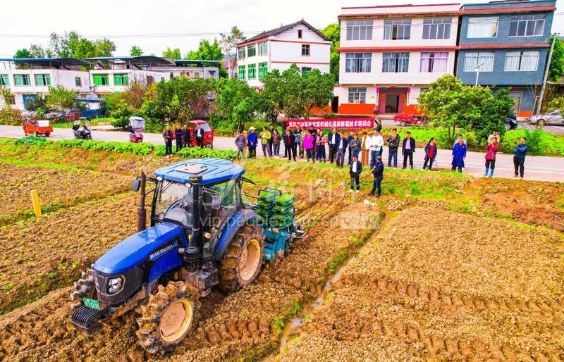 重庆垫江：科技兴农-人民图片网
