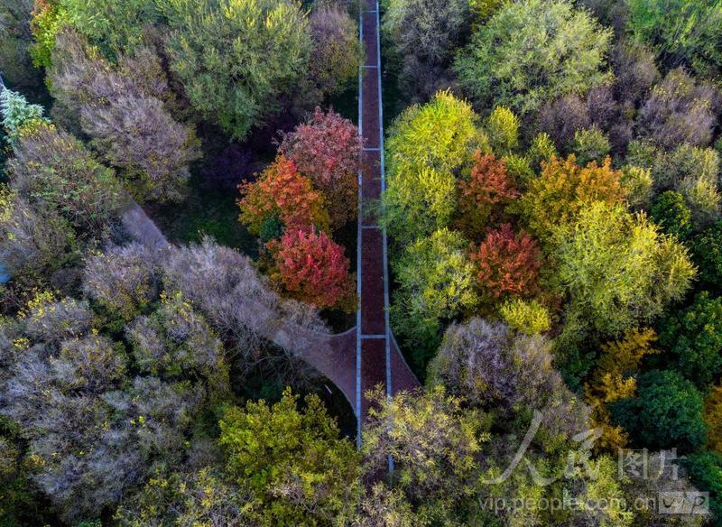 江苏淮安：小雪将至秋韵犹存-人民图片网