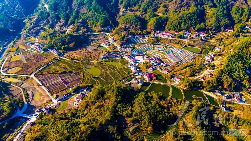 安徽岳西：产业兴旺绘就乡村振兴壮美画卷-人民图片网