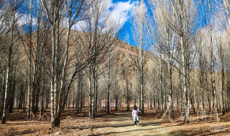 四川甘孜：帮扶路上的女兽医-人民图片网