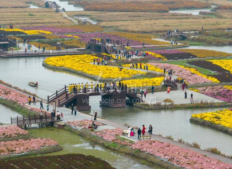 江苏兴化：畅游千垛菊花-人民图片网