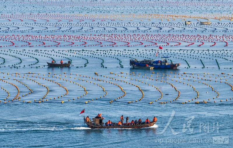 山东荣成：暴雪过后 海上生产有序展开-人民图片网