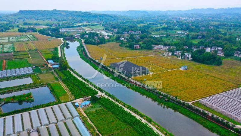 重庆：昔日臭水河流域变身绿色经济产业带-人民图片网
