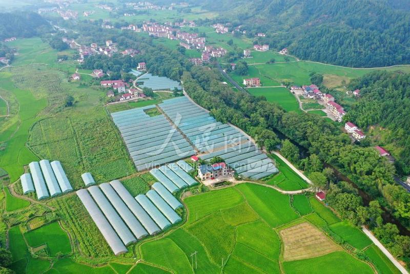 江西泰和：初秋乡村如画-人民图片网