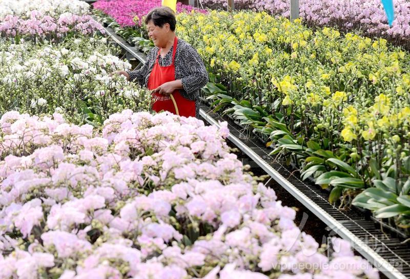 浙江德清：“美丽经济”助增收-人民图片网