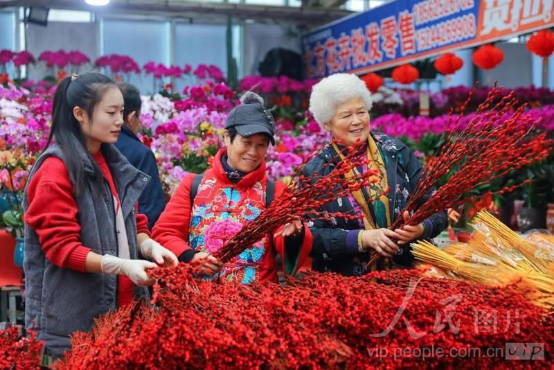 山东青岛：年宵花俏销-人民图片网