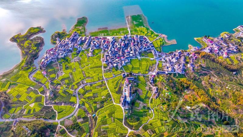 浙江淳安：油菜花海扮靓田园-人民图片网