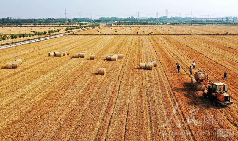 江苏泗阳：秸秆打捆 环保增收-人民图片网