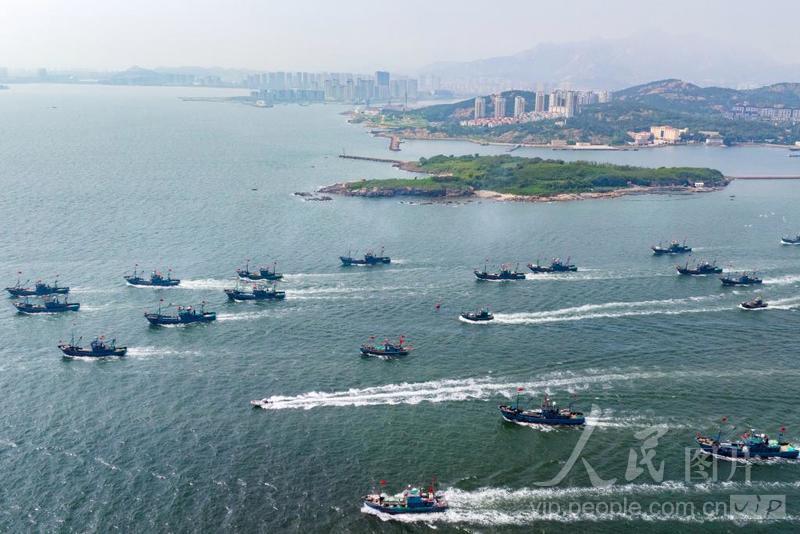 山东青岛：千帆竞发向大海-人民图片网